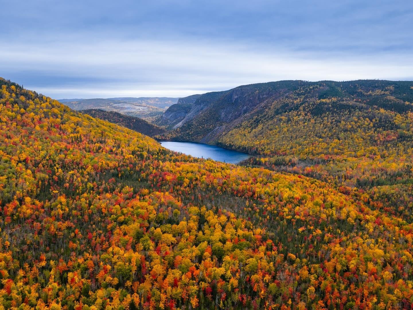 Our Favourite Fall Imagery of 2025 - Newfoundland and Labrador, Canada